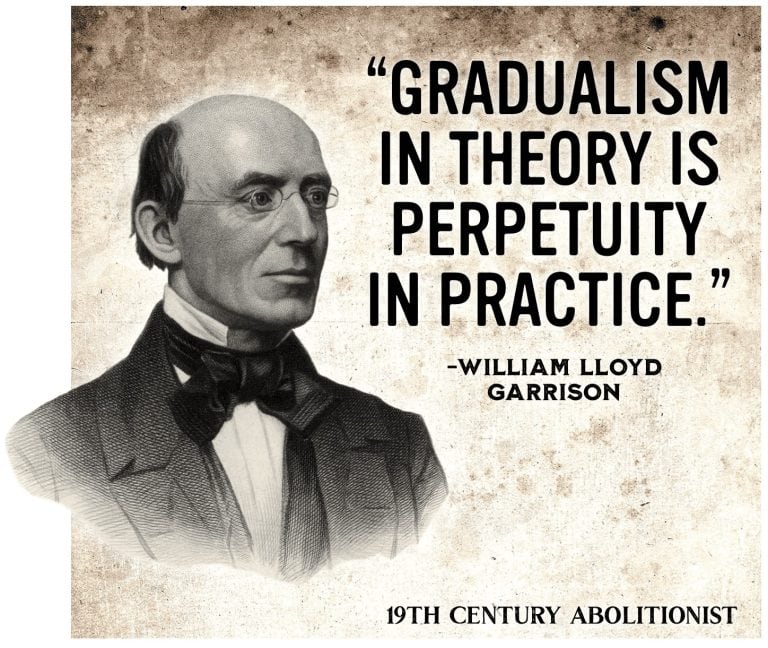 Immediate, Not Gradual - Abolitionists Rising
