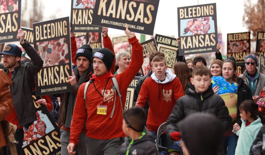 Home - Abolitionists Rising